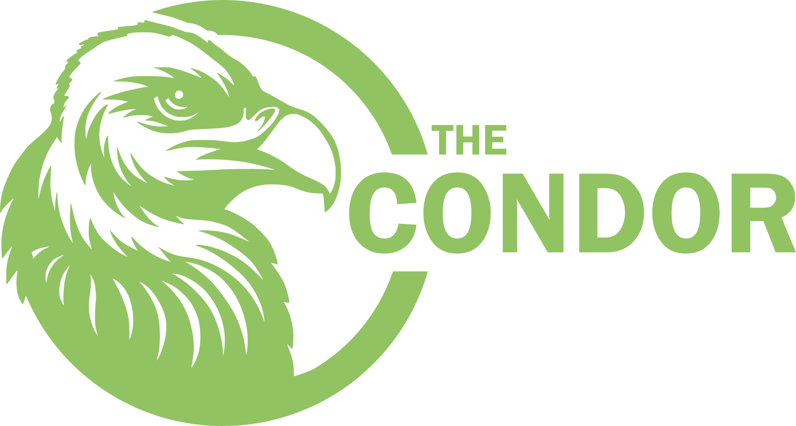 The Condor™ - Advanced Cathodic Protection System